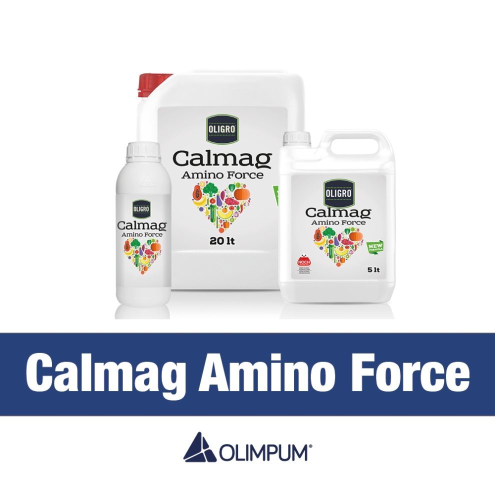 Oligro Calmag Amino Force - Olimpum